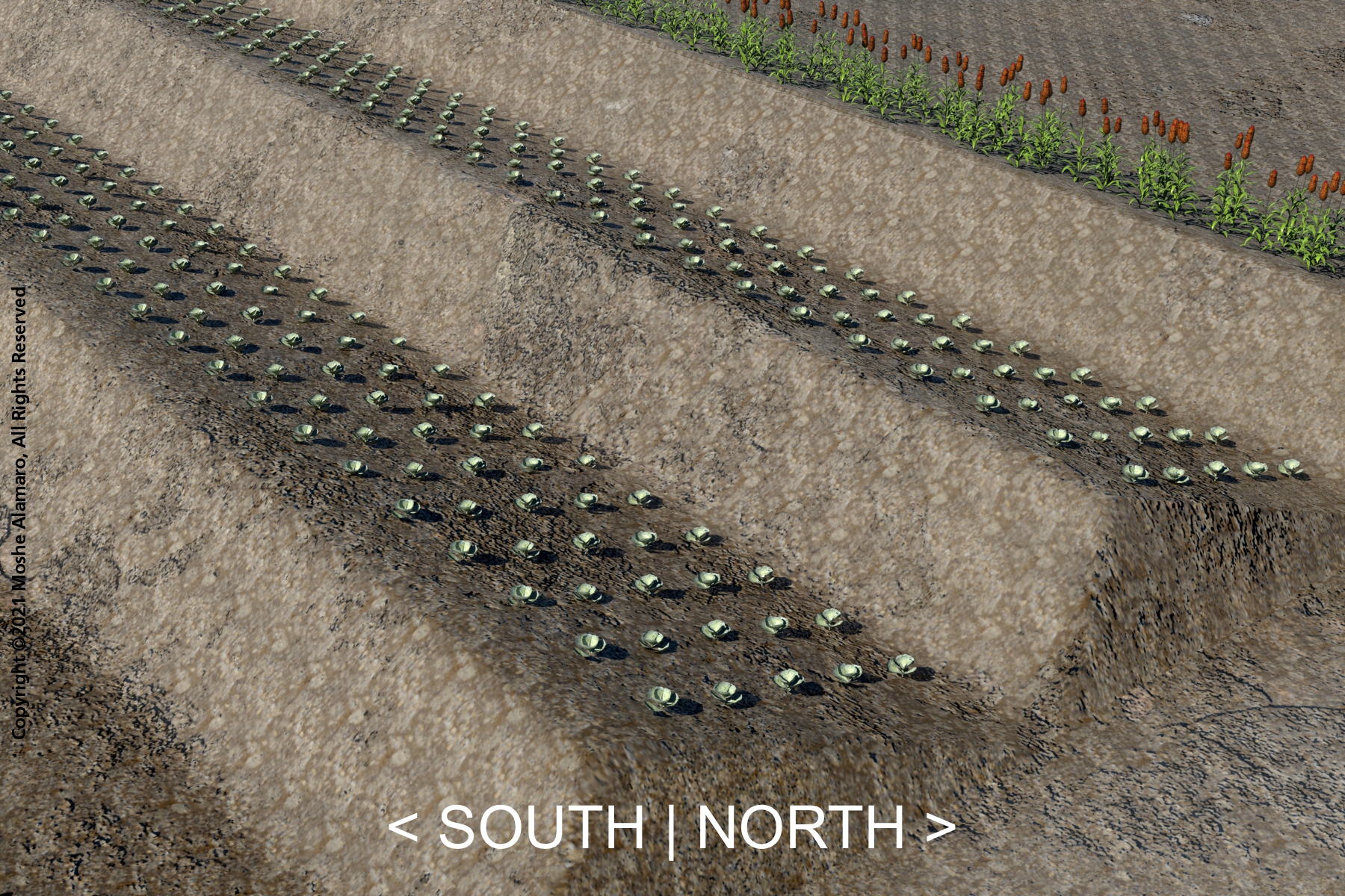 ReSlope Global - North-South Slopes Cultivation - The Science