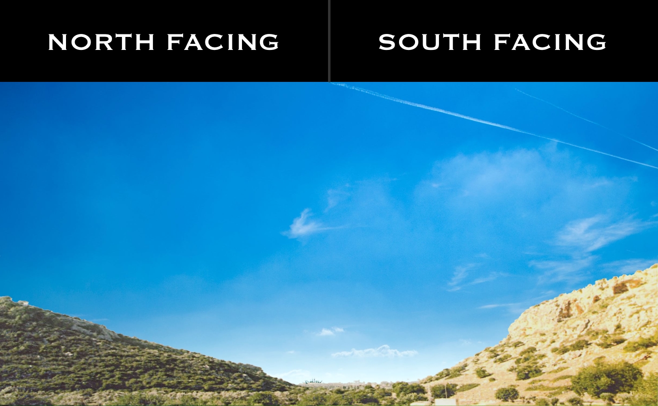 ReSlope Global - North-South Slopes Cultivation - Moshe Alamaro