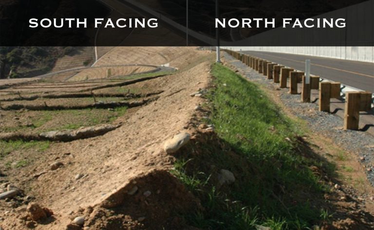 ReSlope Global - North-South Slopes Cultivation - Moshe Alamaro