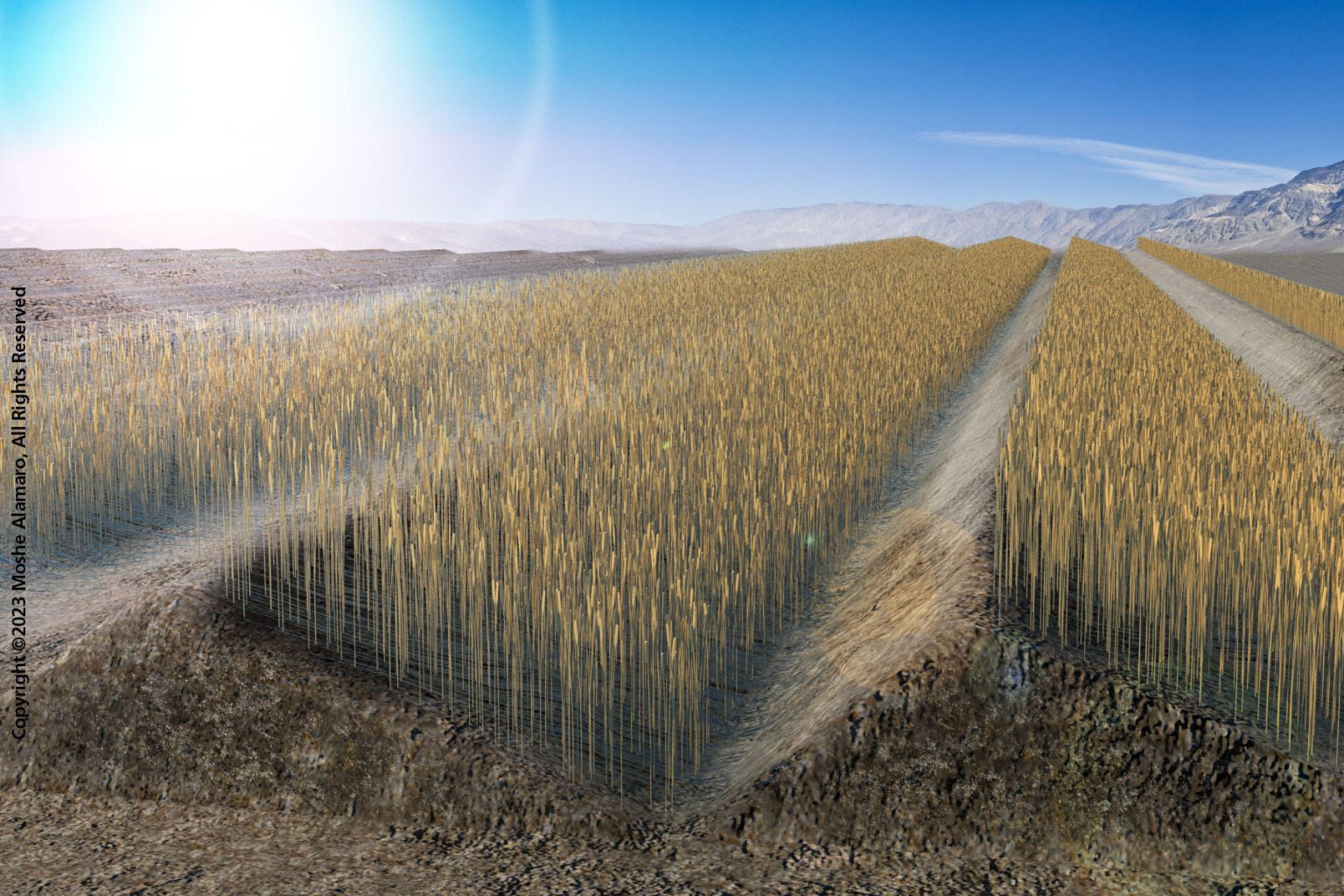 ReSlope Global - North-South Slopes Cultivation - Moshe Alamaro